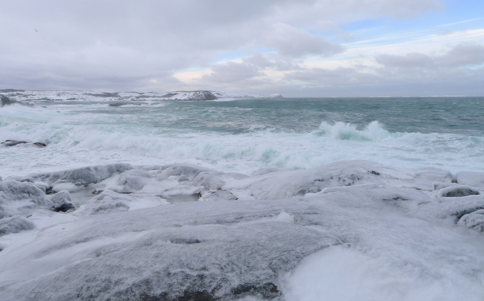 Fogo Island Inn, trip and backgrounds - Work | Ineke Hans Studio