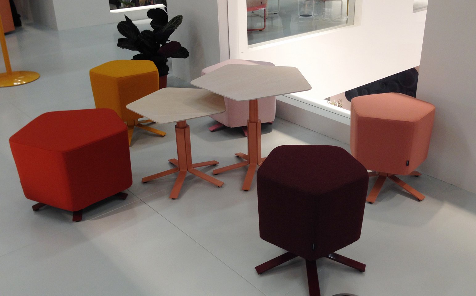 Aline family - Work | Ineke Hans Studio